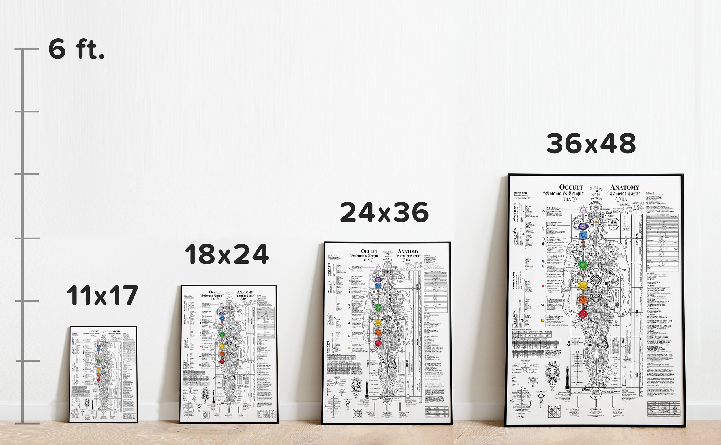 Occult Anatomy 2020 - Large Occult Poster (24x36), Occult Illustration ...
