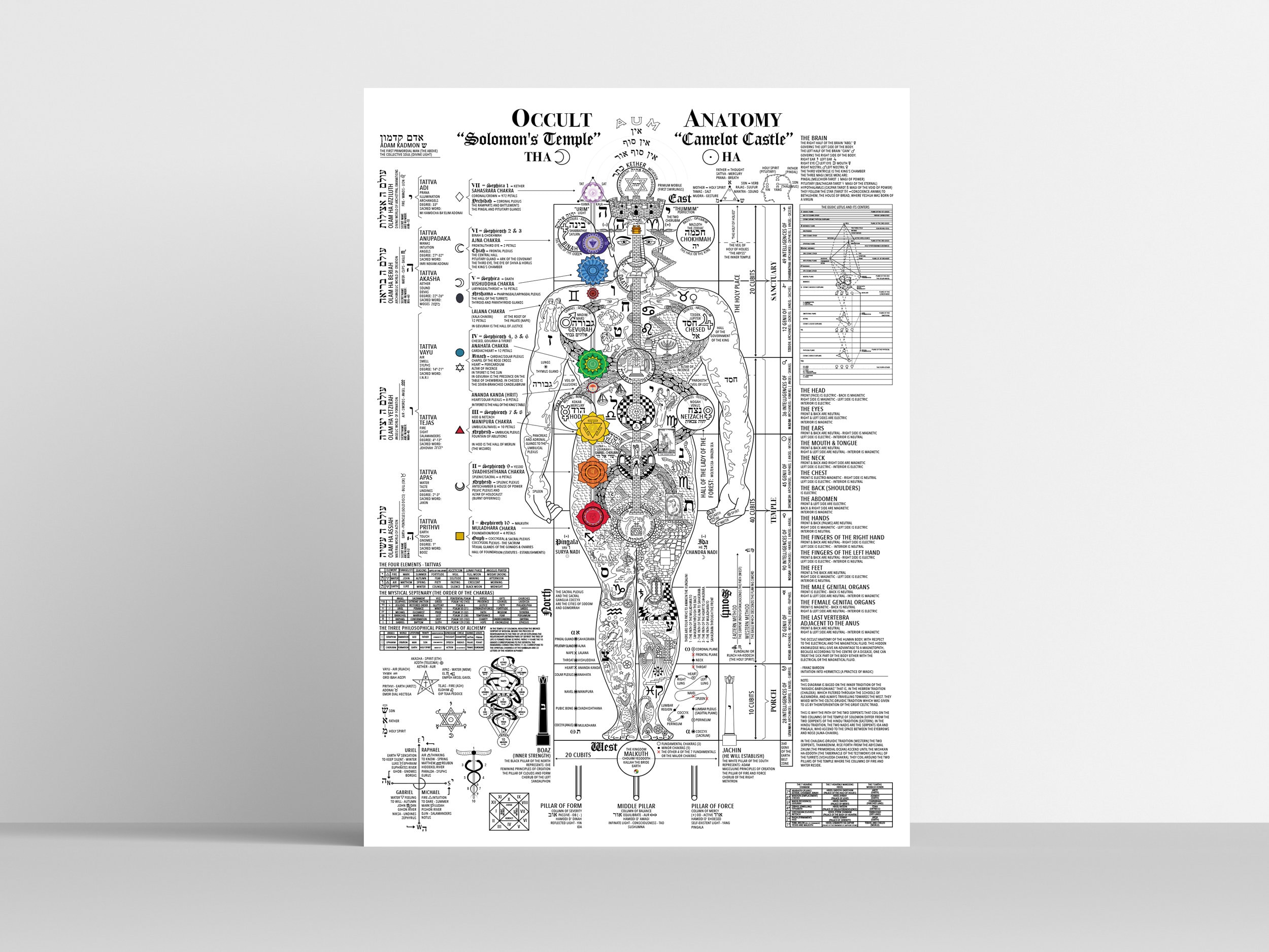 Occult Anatomy 2020 Large Occult Poster 24x36 Occult - Etsy