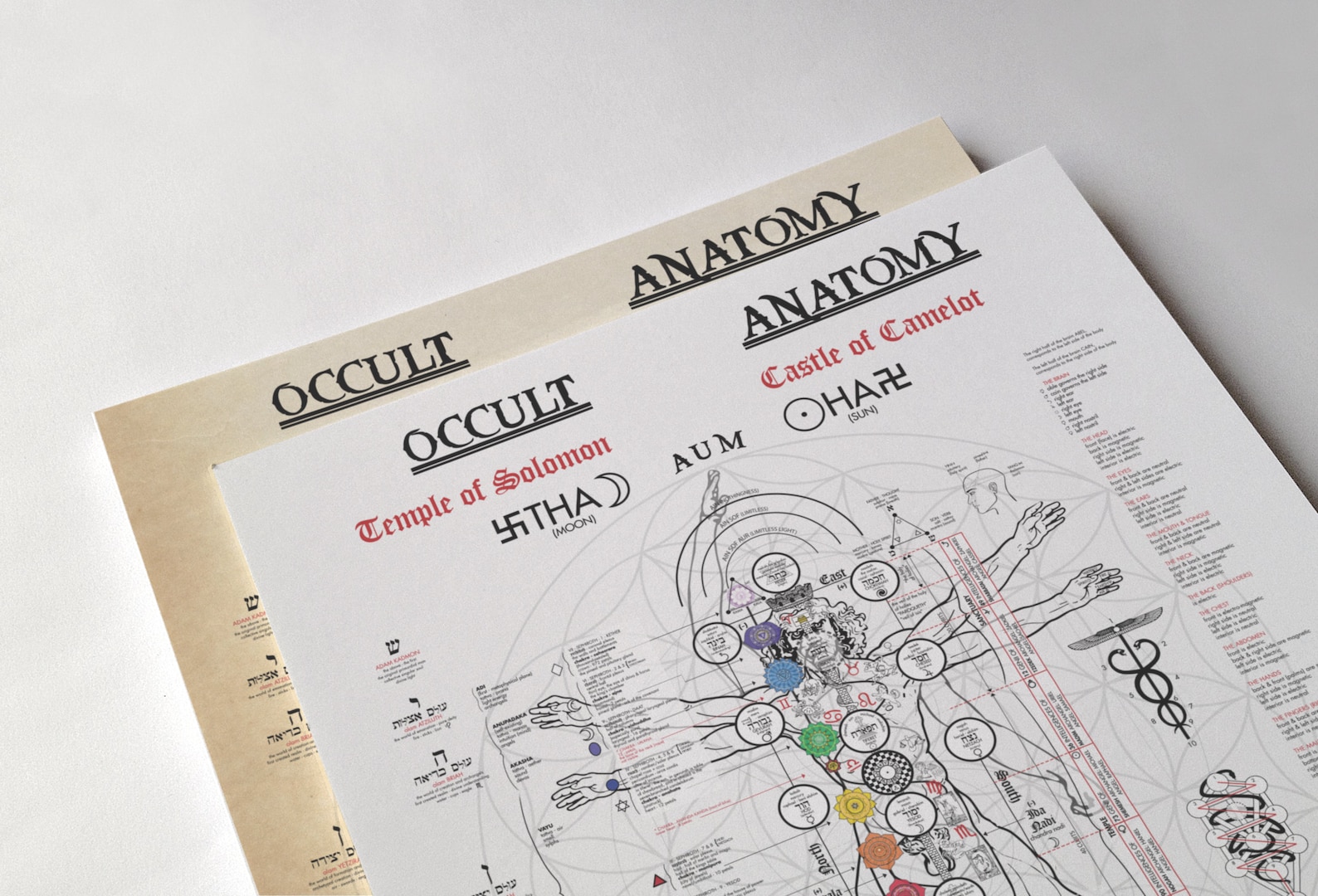 Occult Anatomy Extra Large Occult Poster 36x48 Occult - Etsy