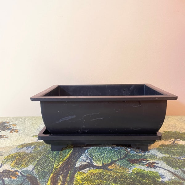 Bonsai Pots - Etsy