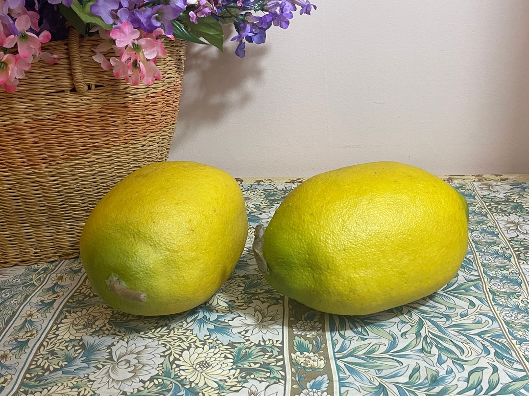 Jumbo Faux Citron Lemon Yellow Citrus Fruits PAIR 8 Inch Vintage 1960s ...