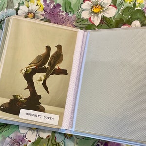 Mini Vinyl Photos Albums With Photos of North American Birds 20 ...