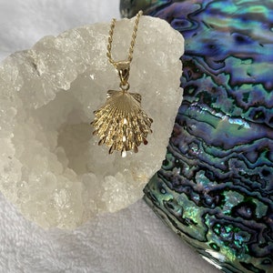 14K Solid Gold Sea Shell Pendant Necklace - Etsy