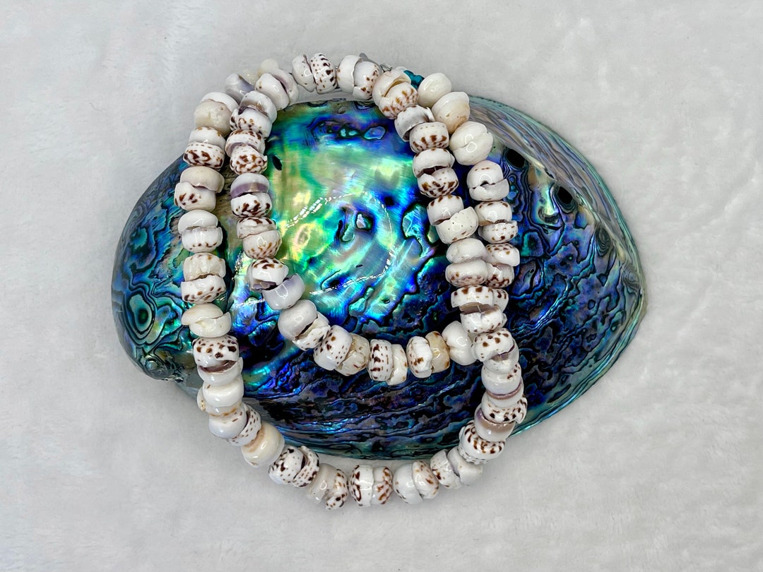 Large Shell Hawaiian Authentic Large Puka Shell Necklace Large Shell - Etsy