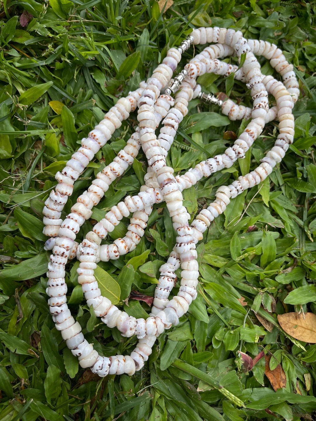 Authentic Tiger Puka Shell Necklace.made to Order in Hawaii - Etsy