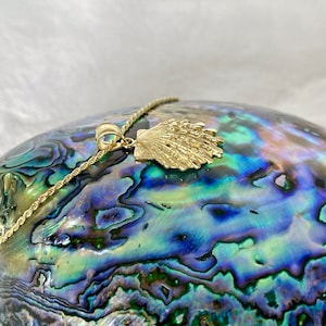 14K Solid Gold Sea Shell Pendant Necklace - Etsy