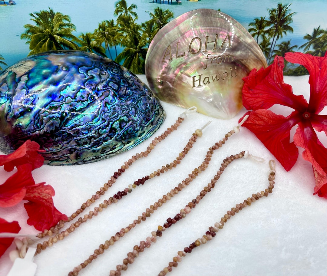 Ni’ihau Forbidden Island Kauai Hawaiian KAHELELANI Shell Bracelet - Etsy