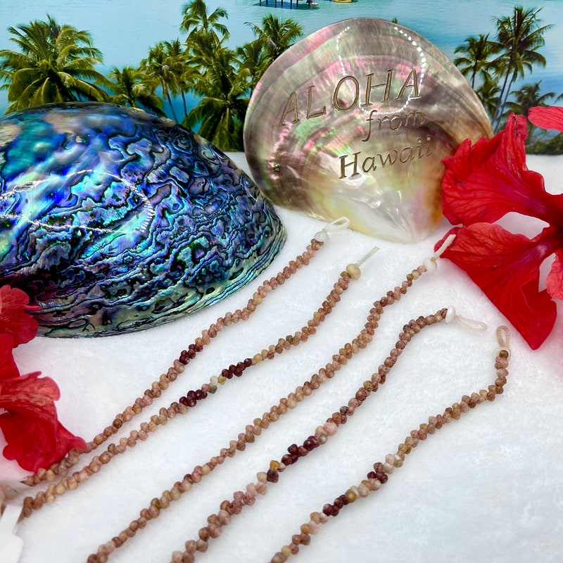 Kahelelani Shells - Etsy