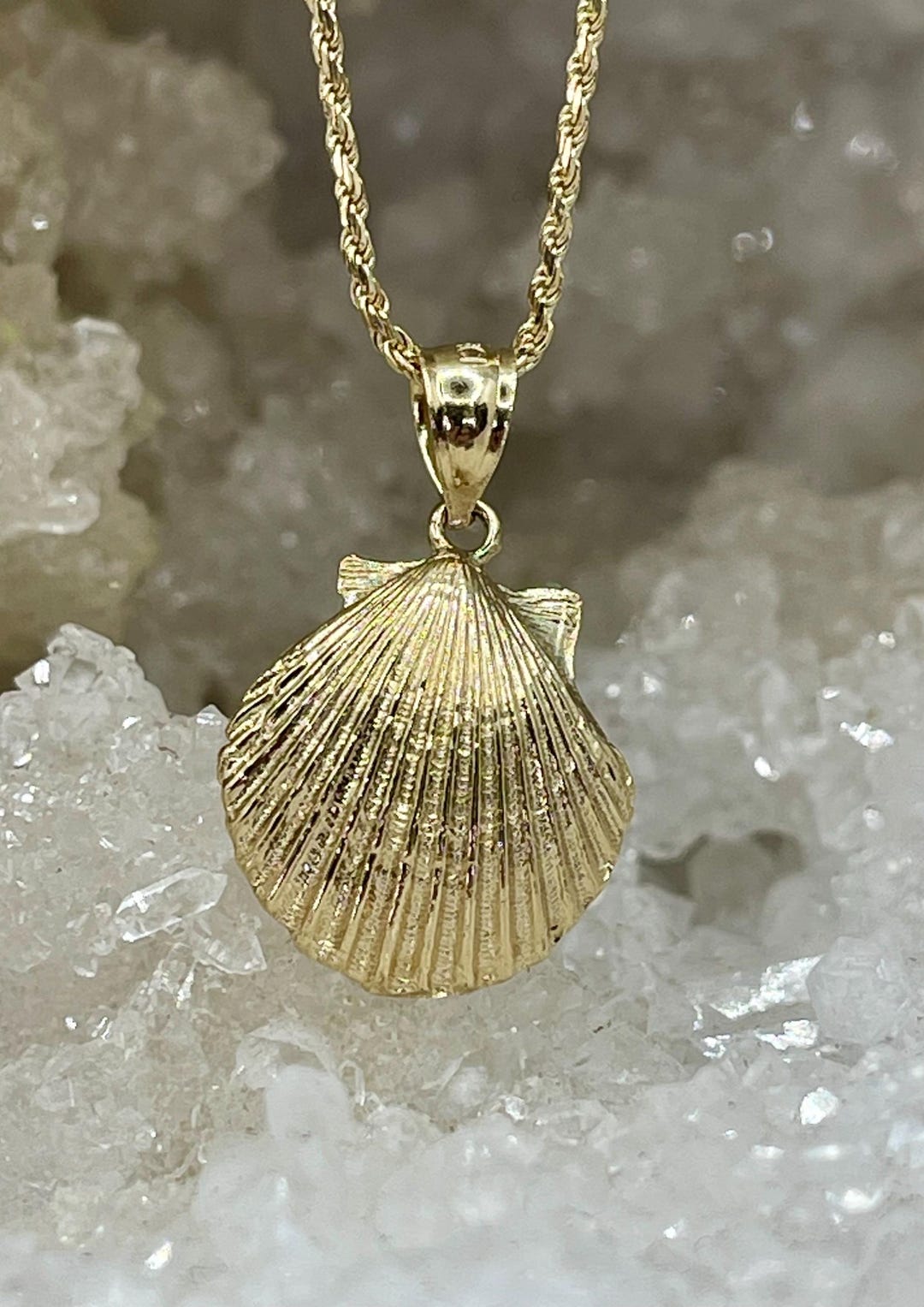 14K Solid Gold Sea Shell Pendant Necklace - Etsy