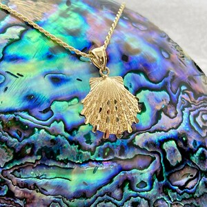 14K Solid Gold Sea Shell Pendant Necklace - Etsy