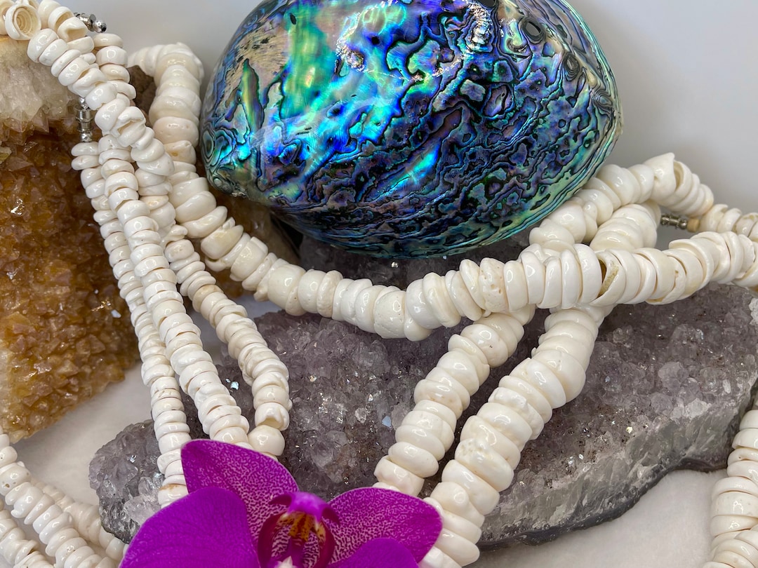 15+ Mm Hawaiian Authentic Old Large Puka Shell Necklace Large Shell 15 ...