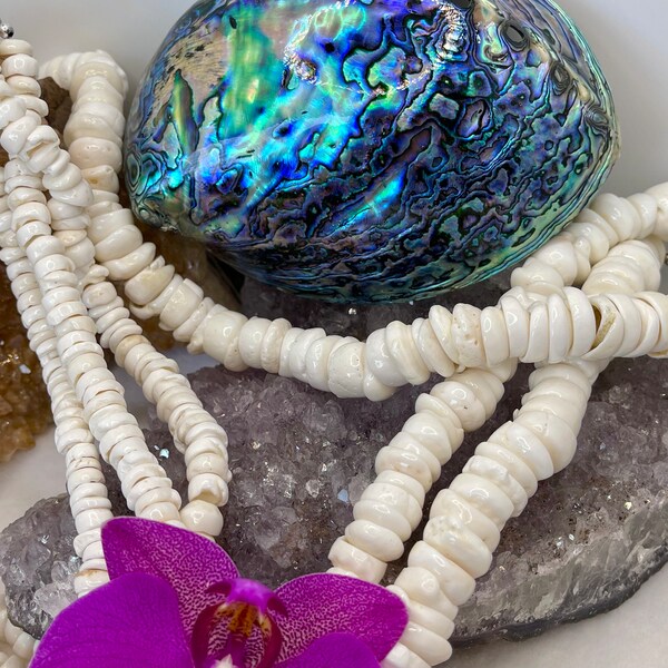 Puka Shells - Etsy