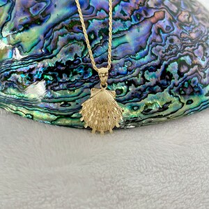 14K Solid Gold Sea Shell Pendant Necklace - Etsy