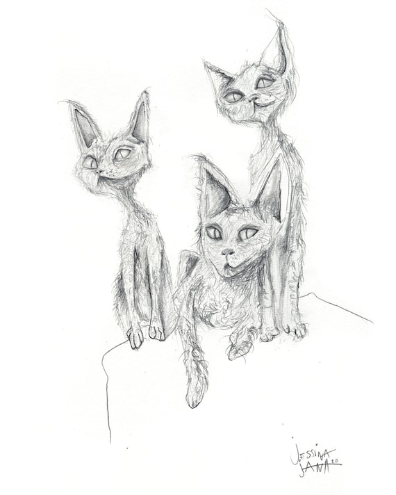 3 Cats Art Print | Etsy