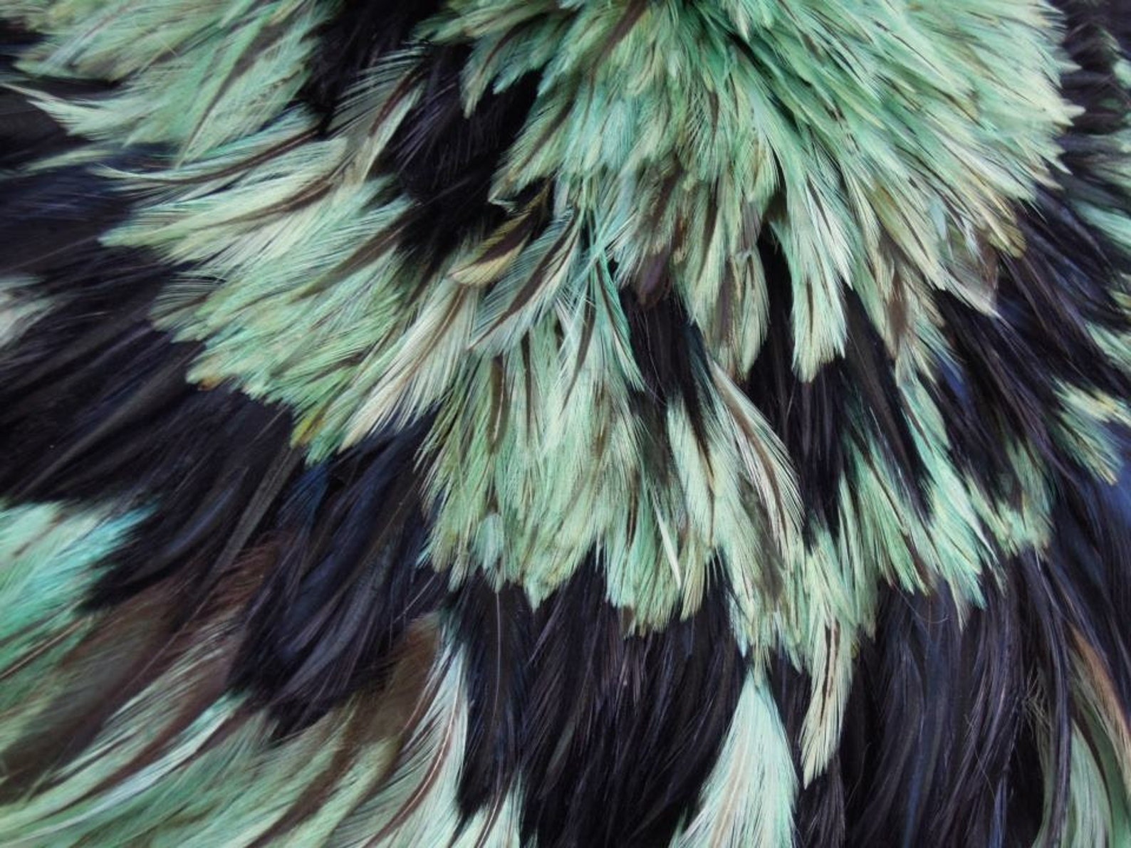 Feather Shield feather Wall Hanging - Etsy