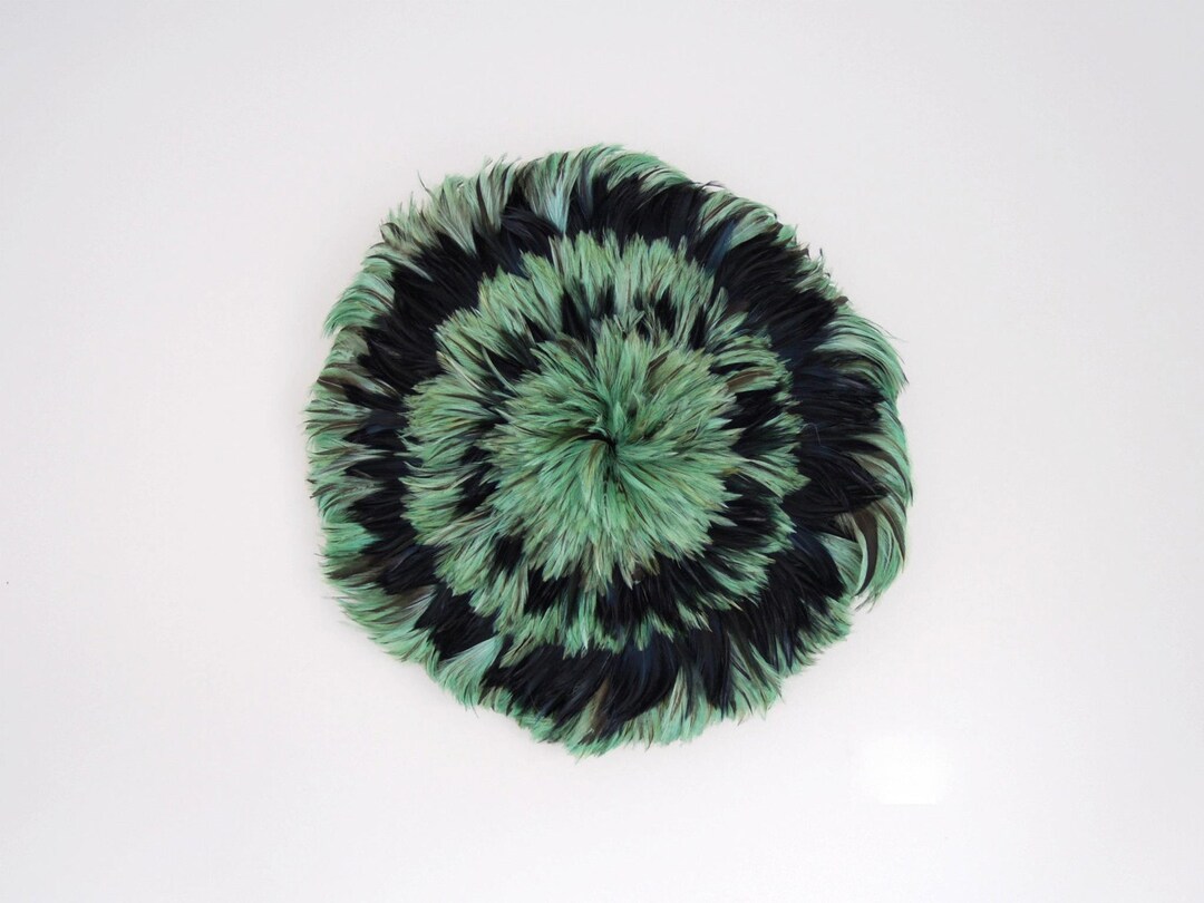 Feather Shield feather Wall Hanging - Etsy