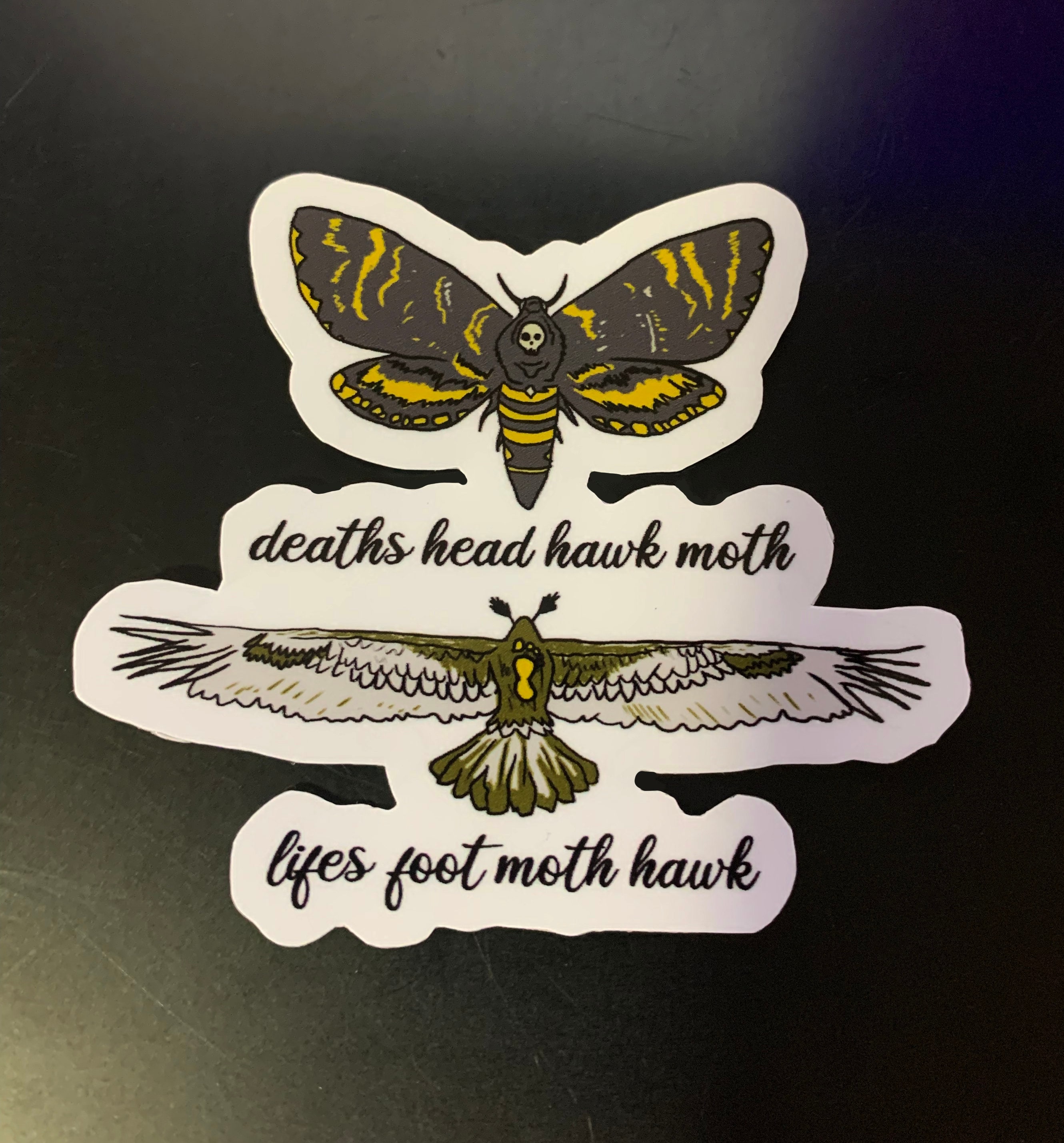 Moth Puns: Flutter into Laughter with These Light Jokes - The Funny Puns