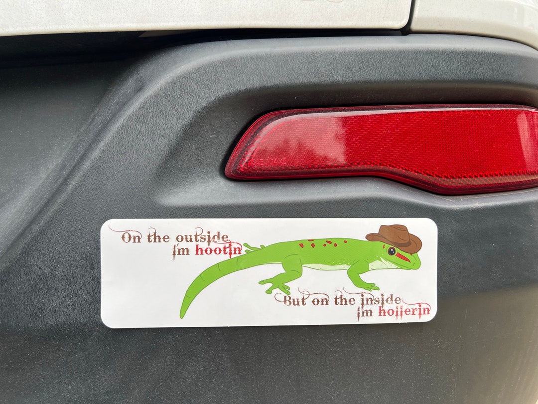 Cowboy Lizard Bumper Sticker - Etsy