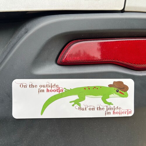 Cowboy Lizard Bumper Sticker - Etsy