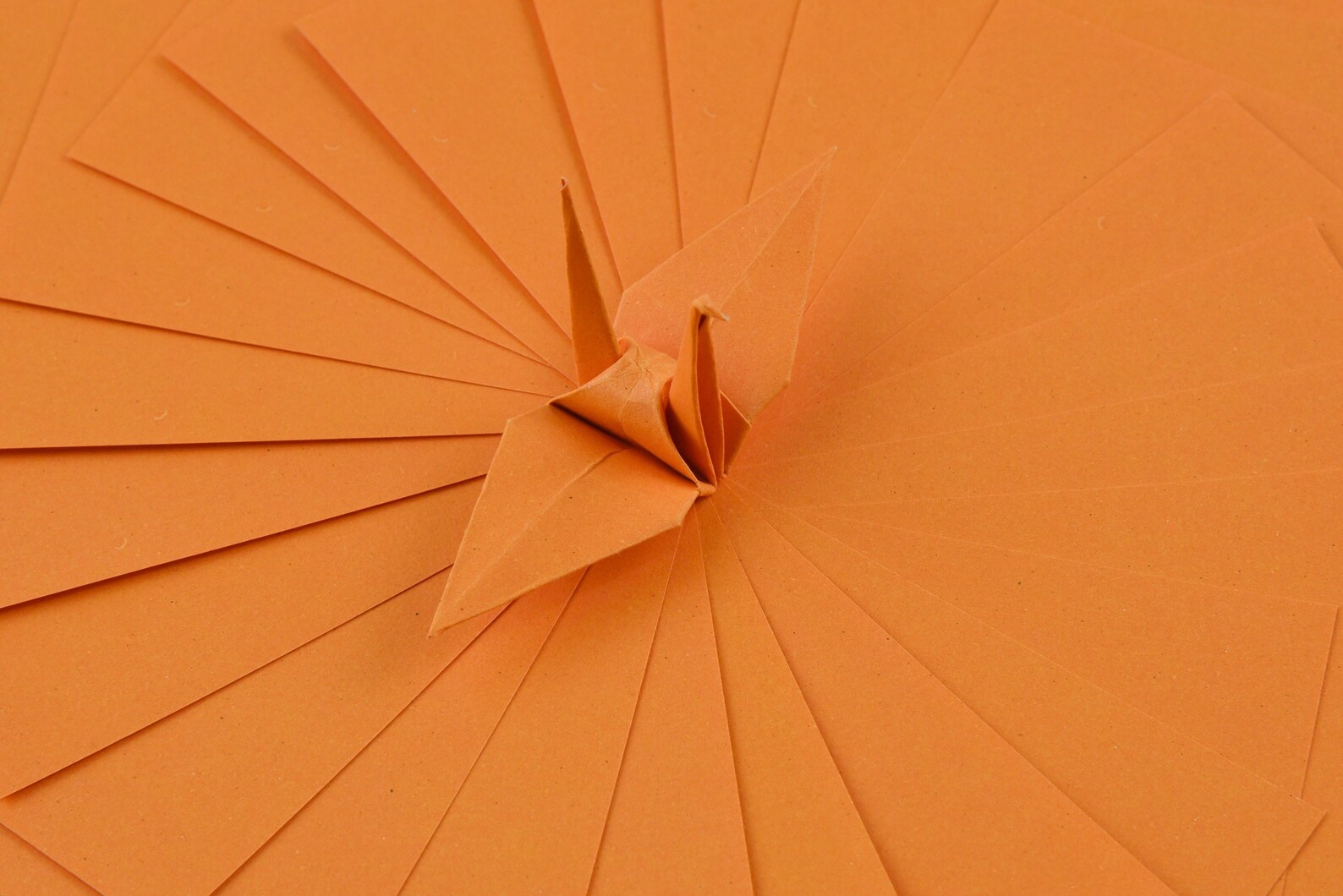 Origami Paper 100 Sheets 3x3 Inches - Craft Paper for Wedding Decor and ...