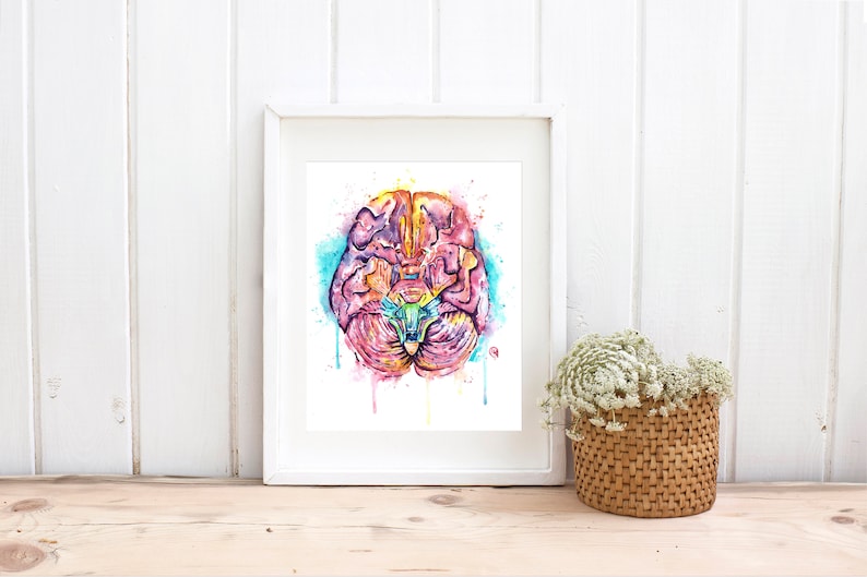 Brain Art Anatomy Art Brain Print Prints Brain Human - Etsy