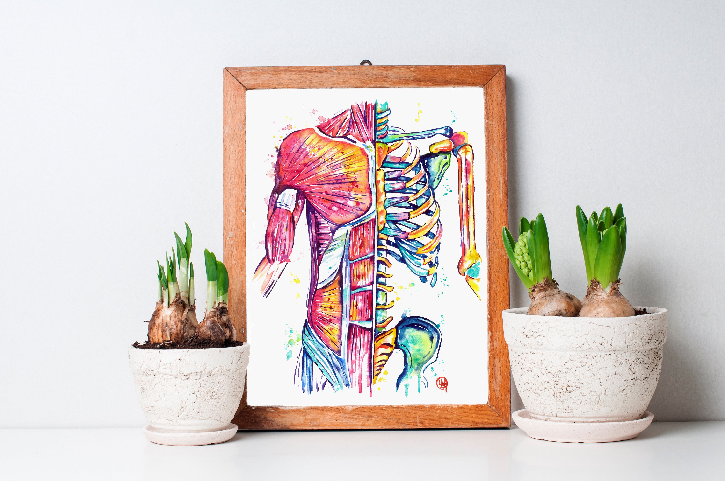 Muscular Anatomy Art, Anatomical Watercolor Painting, Anatomy Art ...