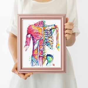 Muscular Anatomy Art, Anatomical Watercolor Painting, Anatomy Art ...