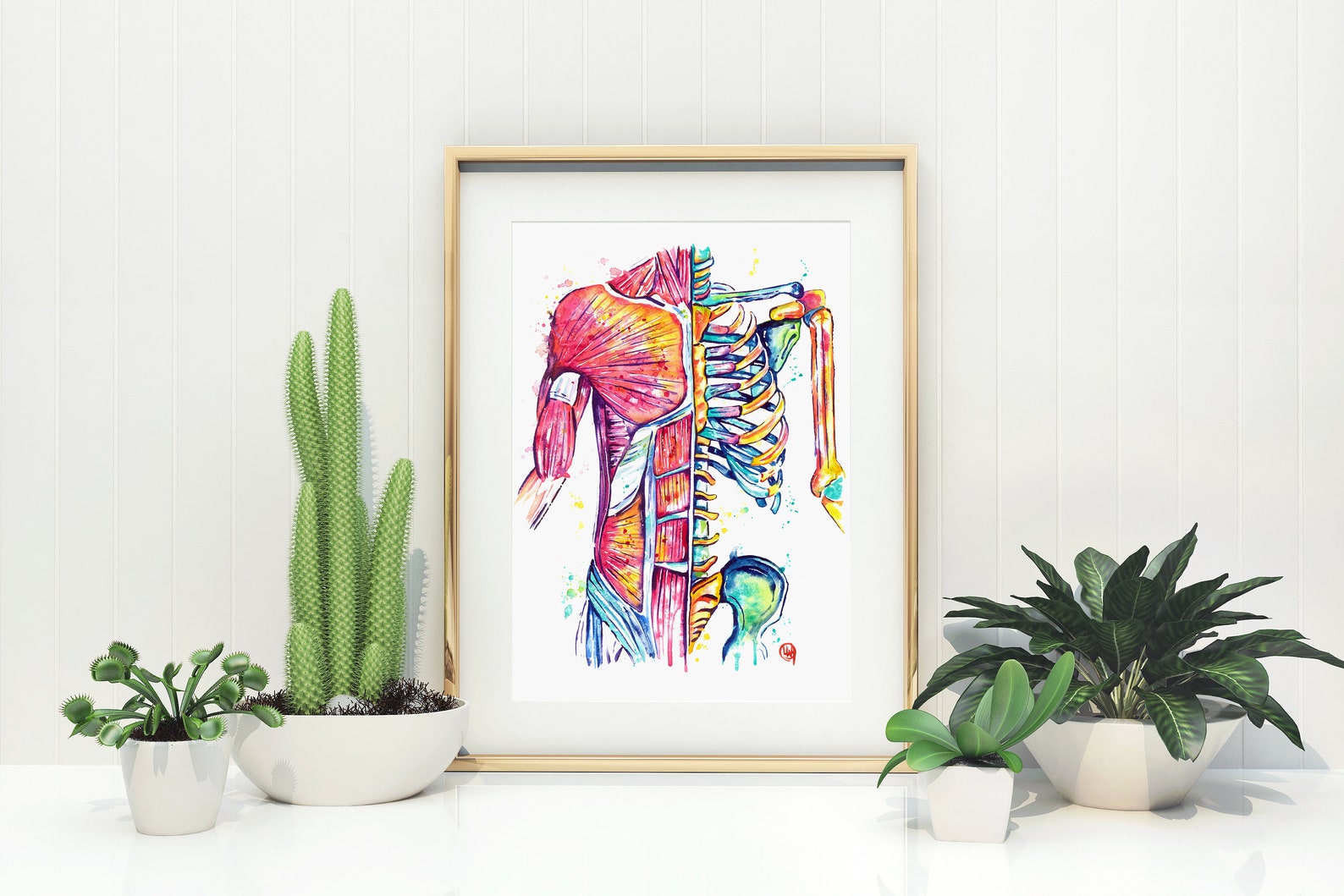 Muscular Anatomy Art, Anatomical Watercolor Painting, Anatomy Art ...