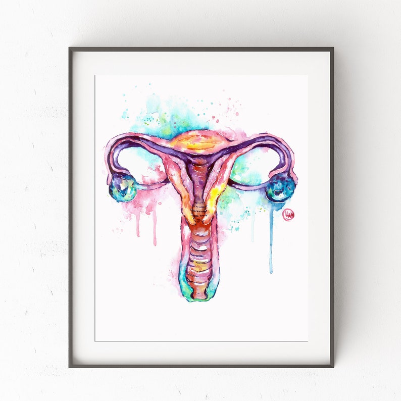 Uterus Art Gynecology Nurse Gift Anatomy Art Medical Art - Etsy