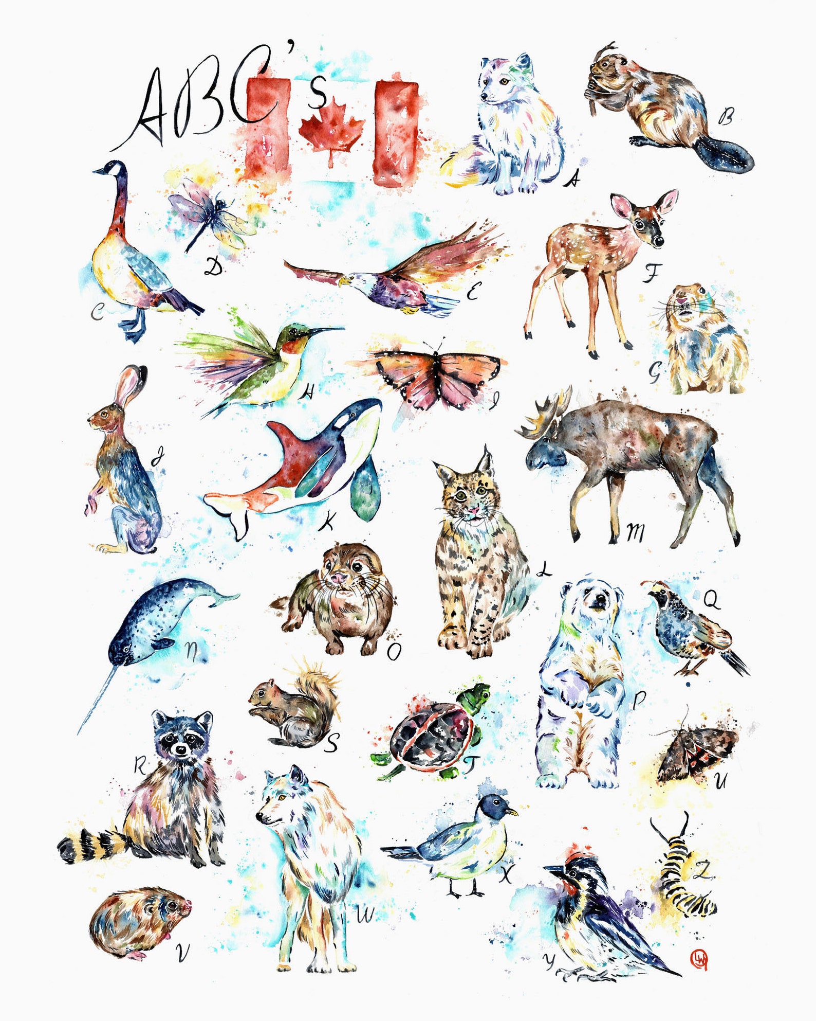 Woodland Alphabet, Children's Animal ABC Poster, Alphabet Print, ABC ...
