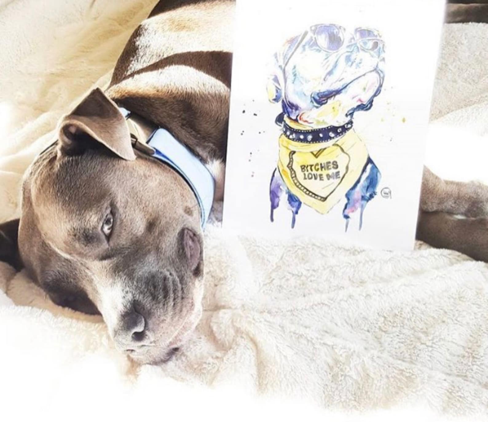 Pitbull Painting Pitbull Art Pit Bull Pitbull Dog Art - Etsy