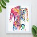 Muscular Anatomy Art, Anatomical Watercolor Painting, Anatomy Art ...