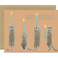 A6 Batmanatee Birthday Card – Funny Manatee Superhero Pun Personalised ...