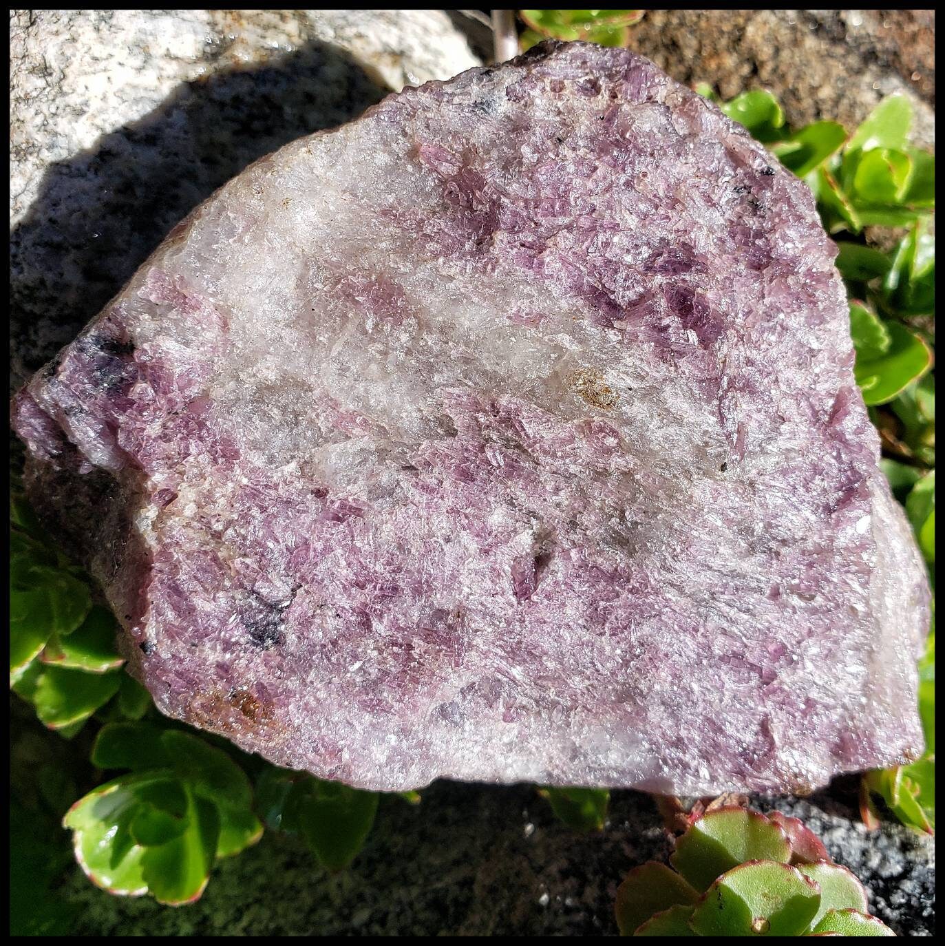 Purple Tremolite