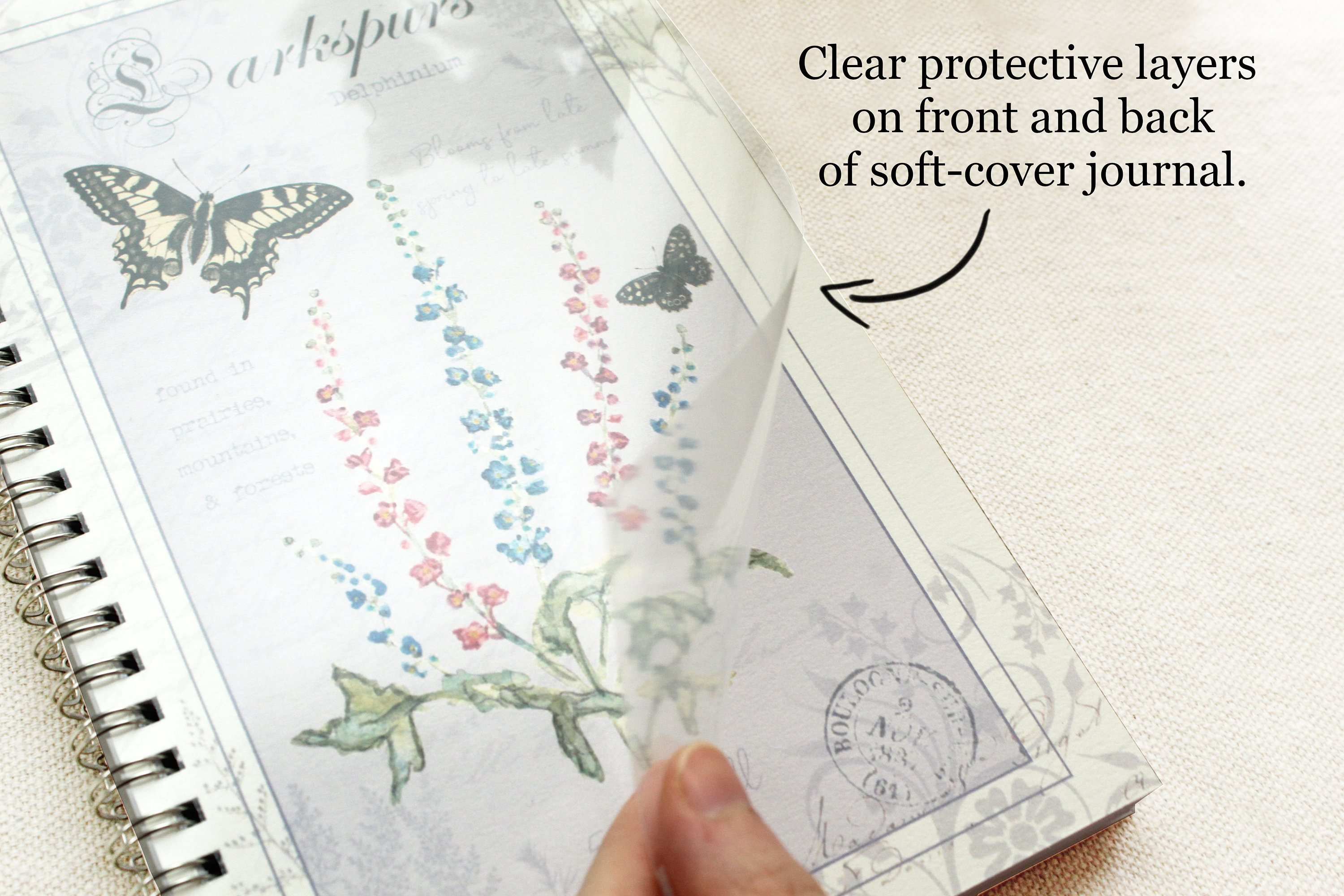 Blackberry Wren Spiral Notebook, Soft-cover Bird Scripture Journal ...