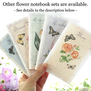 Anne of Green Gables Journal, Anne and Diana Writing Notebook, L. M ...