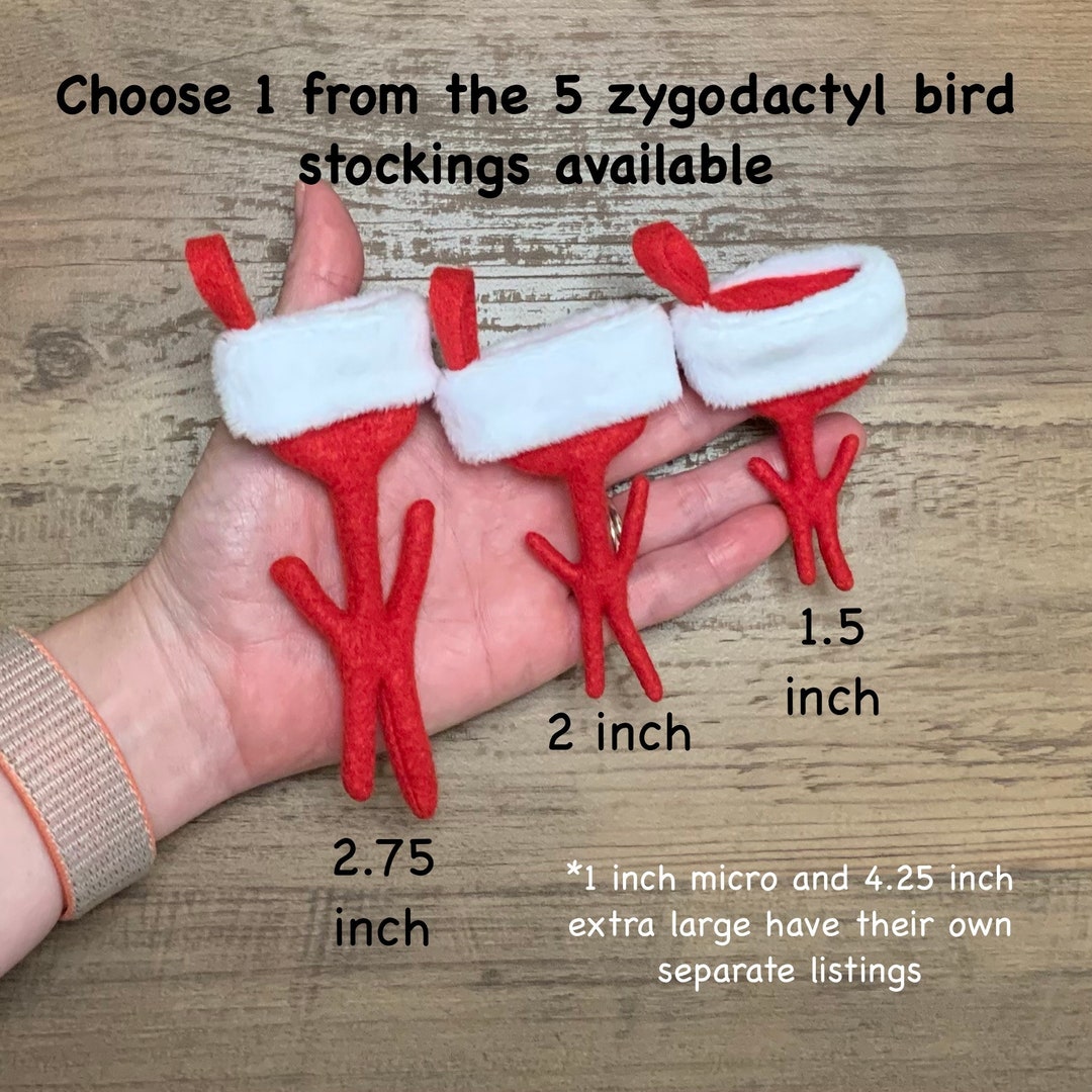 Tiny Zygodactyl Bird Foot Christmas Stocking Ornament: Parakeet ...