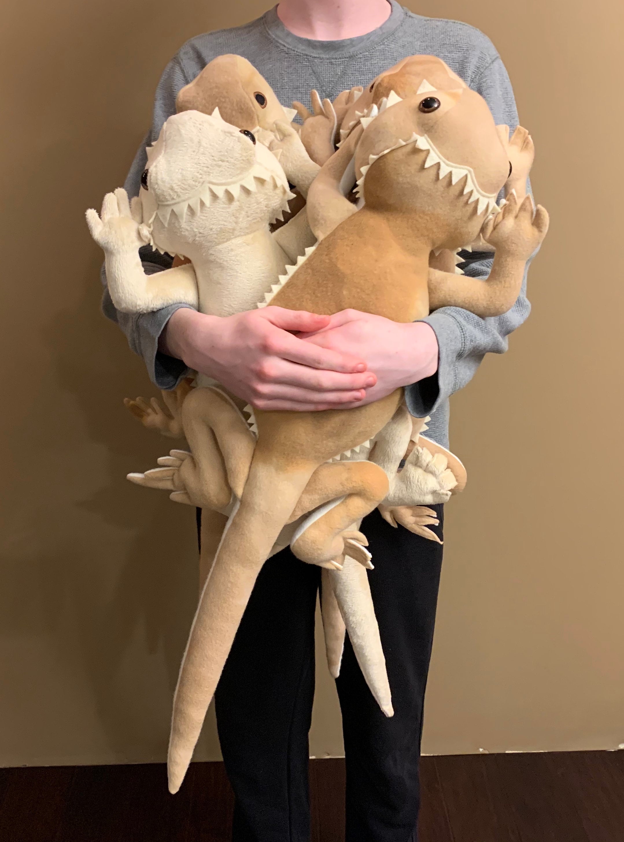 Huggable Beardie Stuffie PDF Sewing Pattern and Tutorial - Etsy Canada