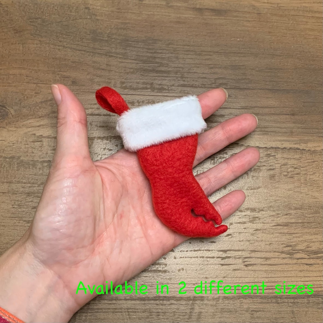 Tiny Hermit Crab Foot Shaped Christmas Stocking Ornament: Crustacean ...