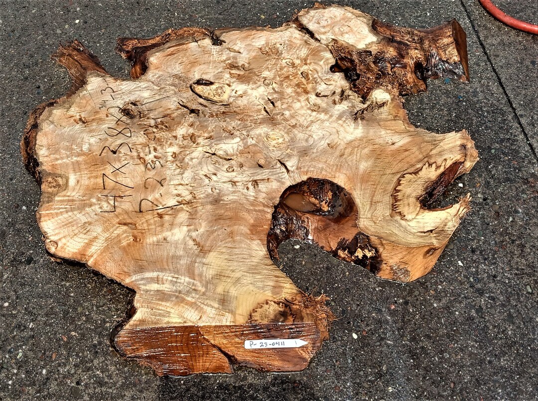 Myrtle Burl Slab Live Edge Slab DIY Wood Crafts Burl - Etsy