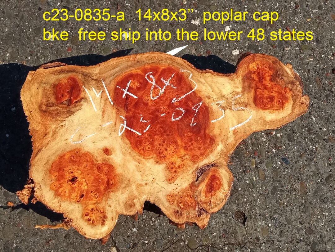 Mappa Burl | Poplar | Burl Slab | Wood Craft Ideas | DIY Wood | C23 ...