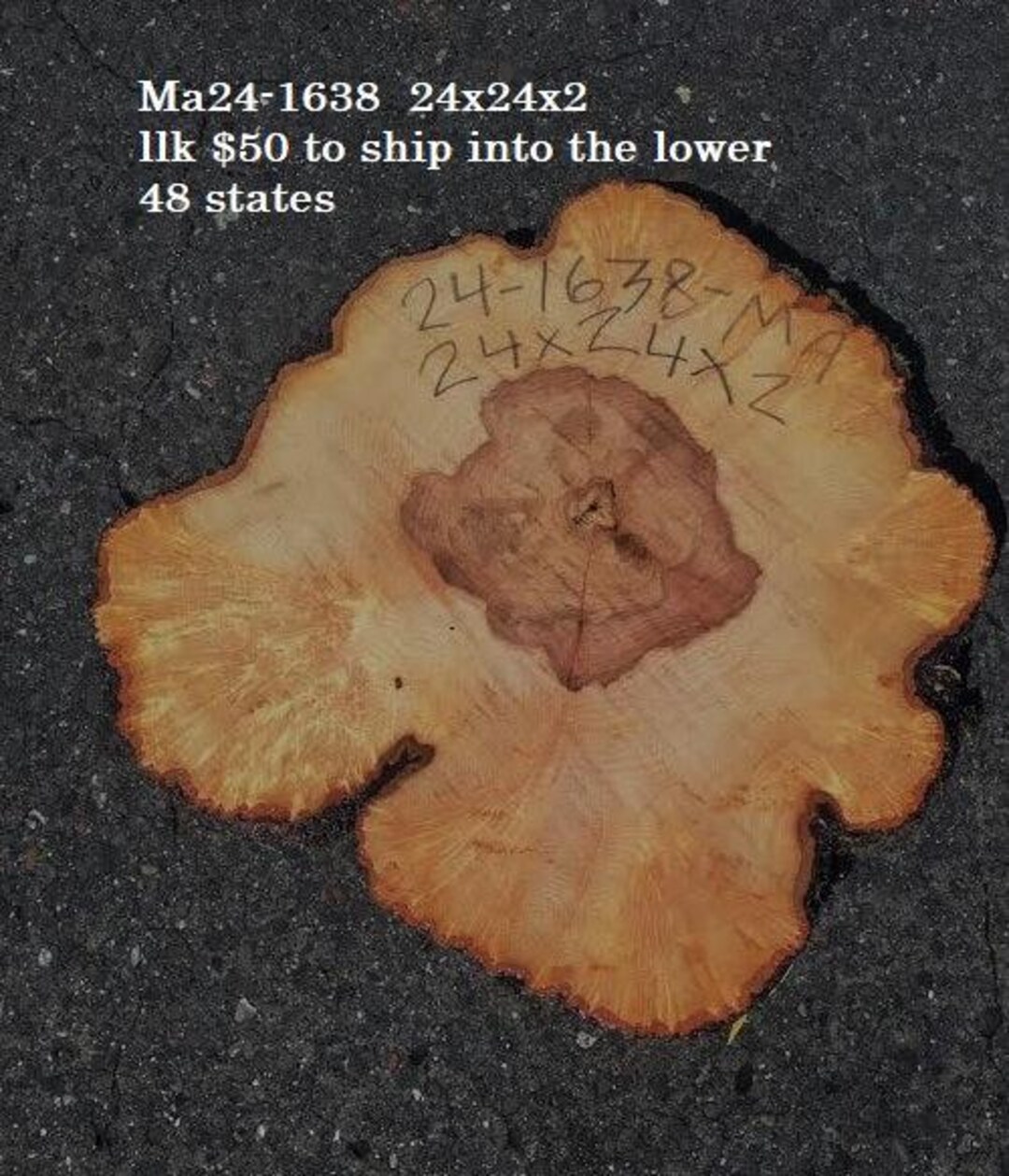 Maple Burl Slab | Live Edge | Cookie Cut | DIY | End Table | Ma24-1638 ...