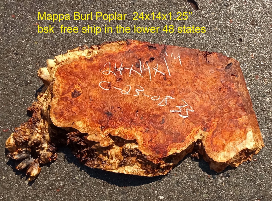 Mappa Burl | Poplar | Burl Slab | Wood Craft Ideas | DIY Wood | C23 ...