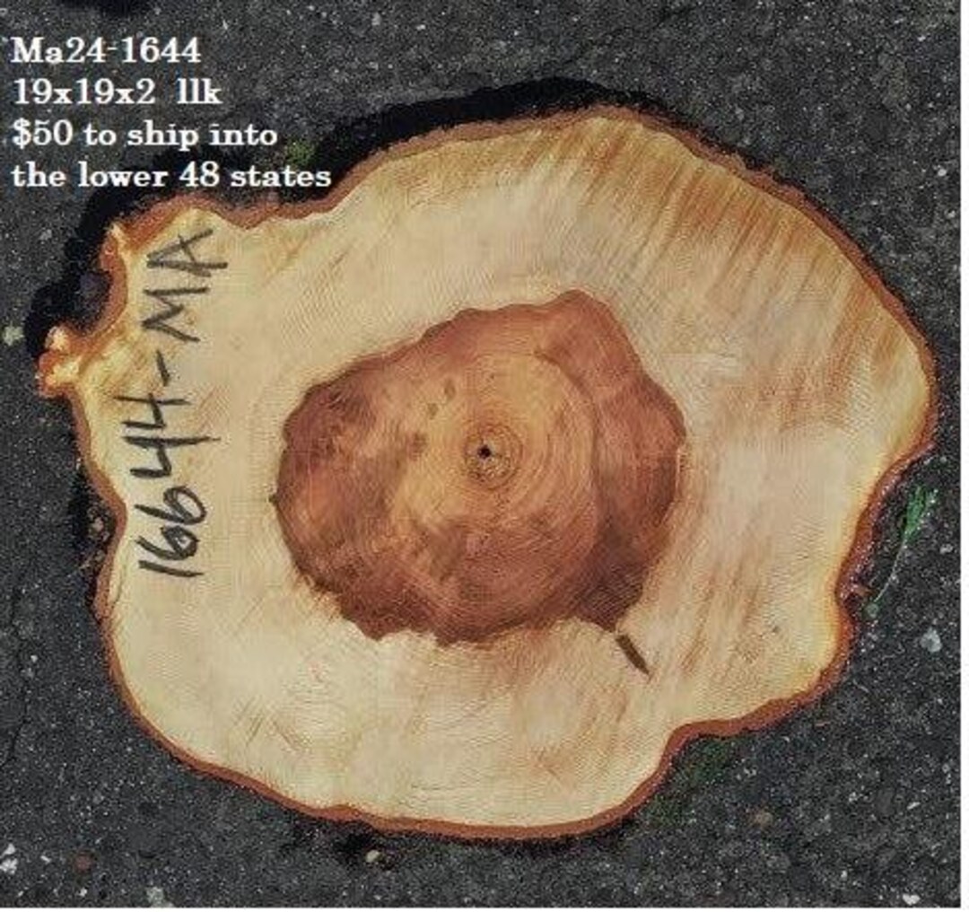 Maple Burl Slab | Live Edge | Cookie Cut | DIY | End Table | Ma24-1644 ...