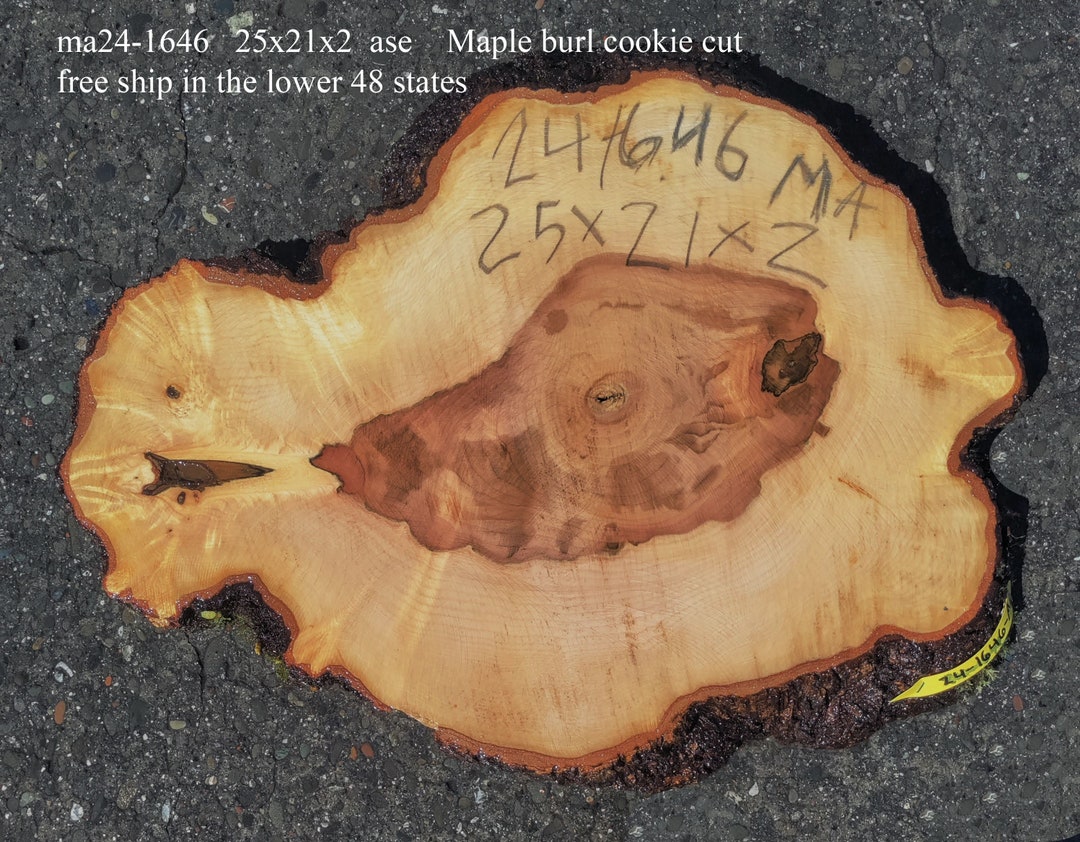 Maple Slab | Live Edge | Cookie Cut | DIY | Craft Wood | Ma24-1646 - Etsy