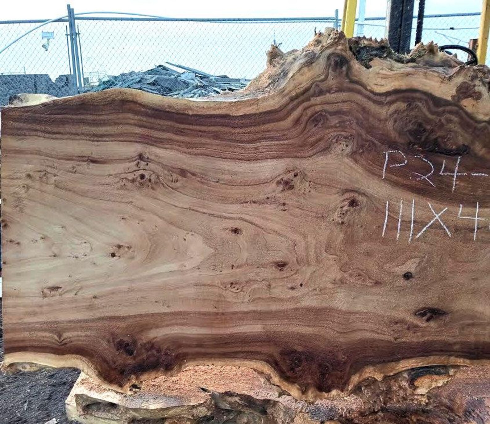 Mappa Burl Slab Burl Dining Table P24-1843 - Etsy