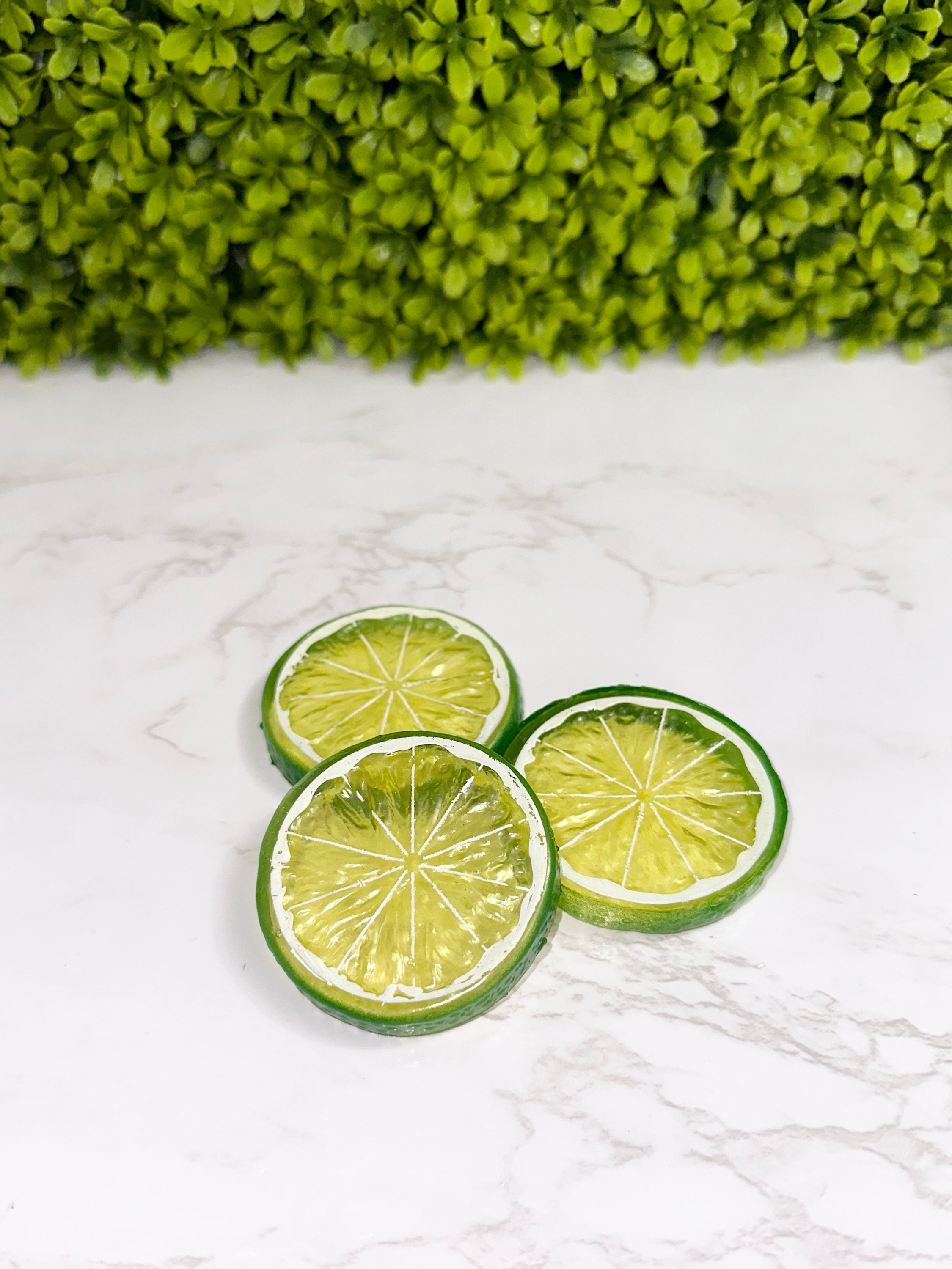 Fake Ice and Lemon/ Lime Slices - Etsy
