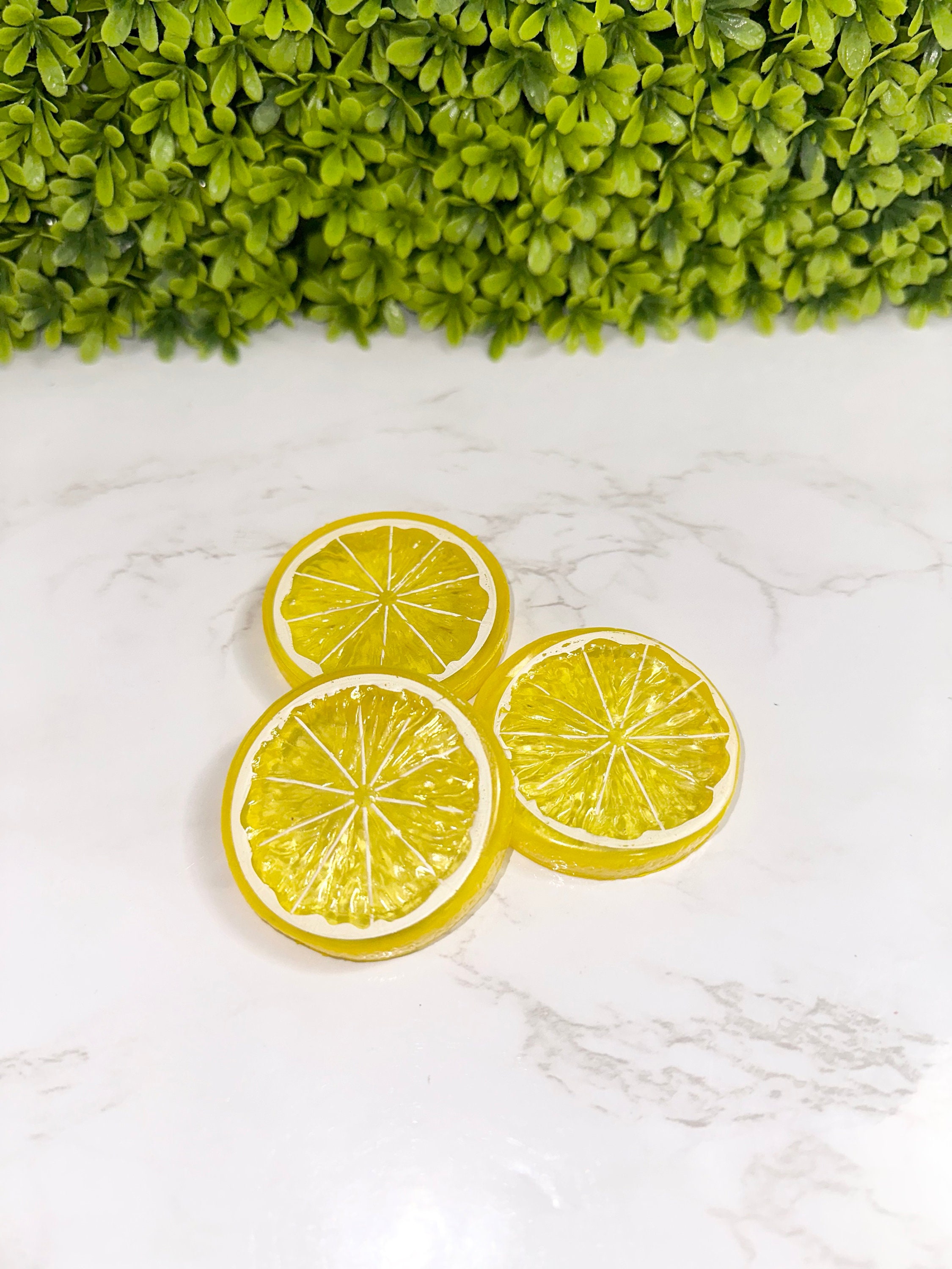 Fake Ice and Lemon/ Lime Slices - Etsy