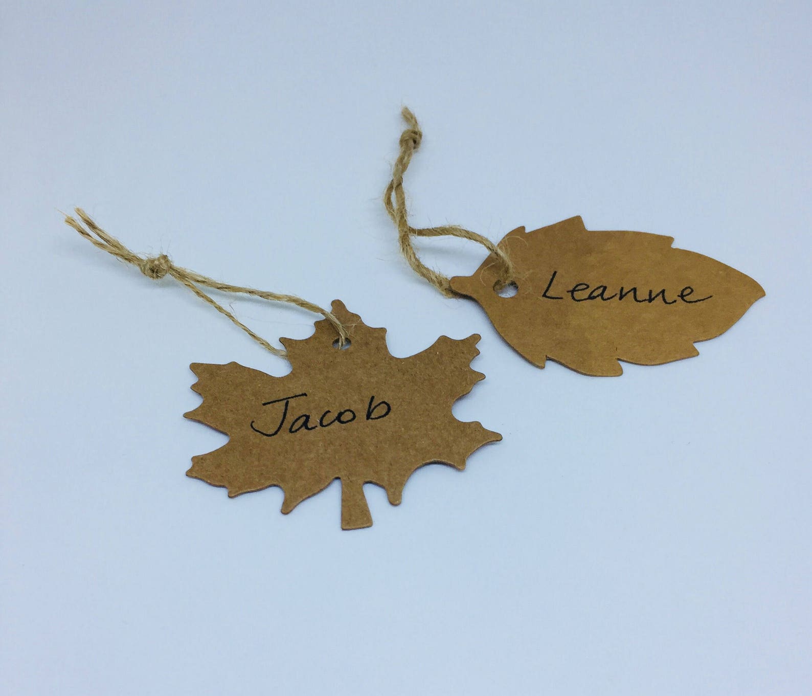 Set of 10 Leaf Shaped Name Place Cards - Etsy