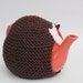 Robin Tea Cosy Knitting Pattern - Etsy
